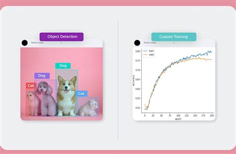 Train Object Detection Classification Segmentation Models By Printpalio Fiverr