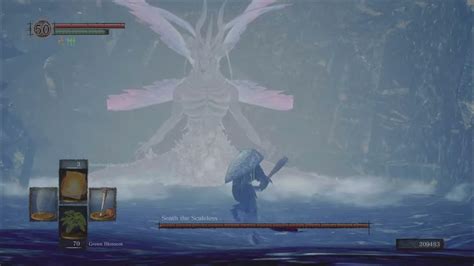 Ds1 Sl1 No Roll Block Parry Flawless All Bosses Youtube