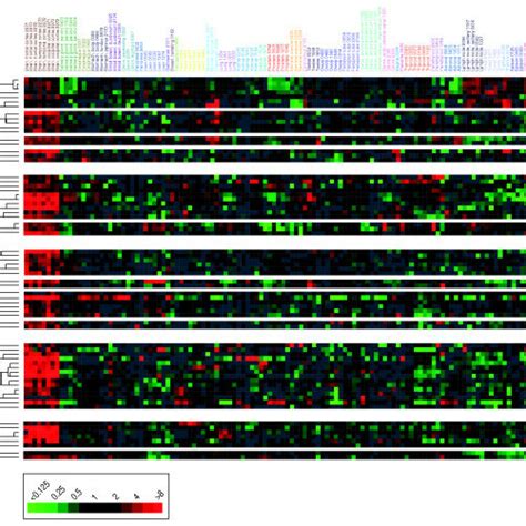 brain selective expression of functionally annotated gene sets