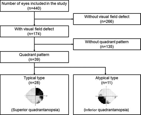 Surgical Neurology International