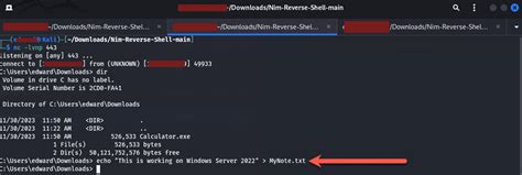 windows server 2022 bypassing windows defender with nim