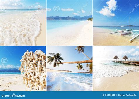 Collage De La Playa Imagen De Archivo Imagen De Recurso 54158543