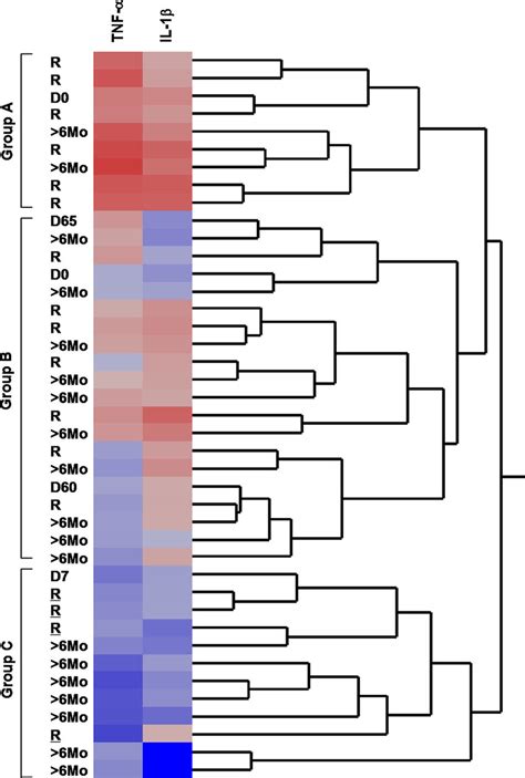 Hierarchic Clustering Of Tumor Necrosis Factor Tnf And Interleukin