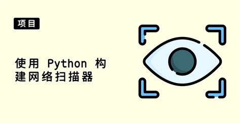 项目 使用 Python 构建网络扫描器 Labex