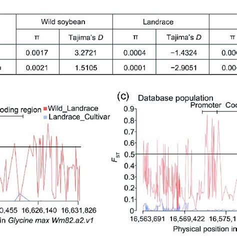 Identification Of Soybean Hairy Root Resistance To Ccw A
