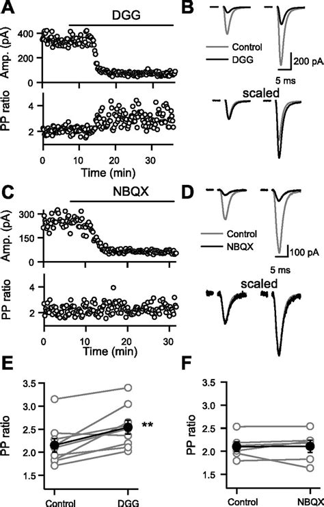 Receptor Saturation Controls Short Term Synaptic Plasticity At Corticothalamic Synapses