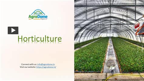 Horticulture And Agriculture Presentation Free To Download