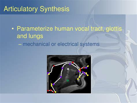 Ppt 3d Computer Simulation Of The Human Vocal Tract Powerpoint