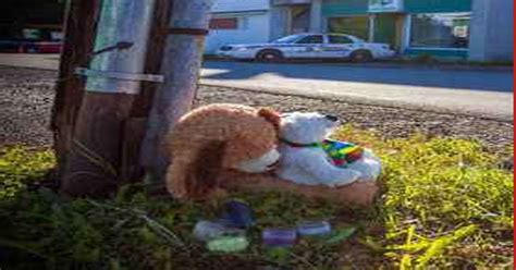 Probe Into Canada Python Deaths Daily Star