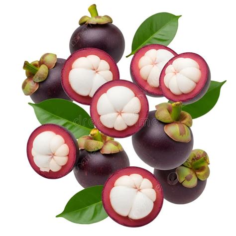 Fresh Mangosteen Fruits And Slices With Green Leaves Stock Illustration