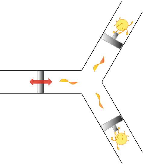 Casimir Effect For Quantum Field Theory In Networks The European Physical Journal C