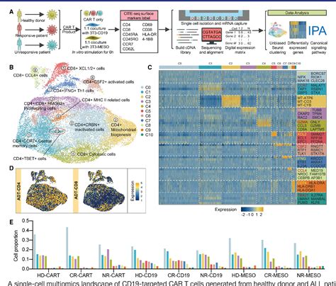 Figure 1 From Single Cell Multiomics Dissection Of Basal And Antigen Specific Activation States