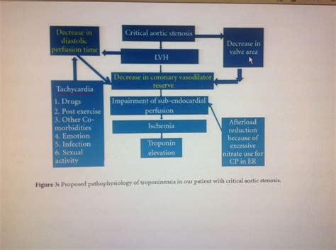 Pin On Pathophysiology Concept Mapping