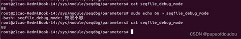 linux内核module param的实现原理 module param csdn博客