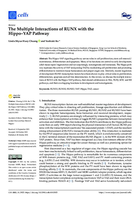 Pdf The Multiple Interactions Of Runx With The Hippoyap Pathway