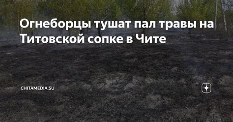 Огнеборцы тушат пал травы на Титовской сопке в Чите Chitamedia Su Дзен