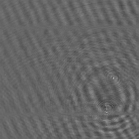 Dihcellcounting Object Detection Dataset By Research