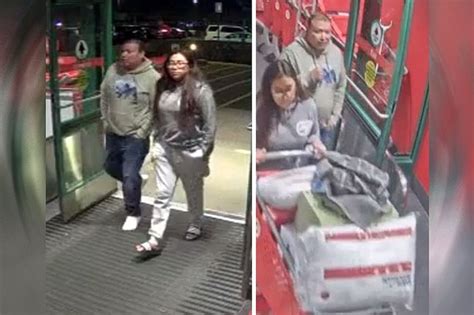 SCPD: Crooked Couple Enter Centereach Target Empty-Handed, Leave with Cart Full of Ill-Gotten ...