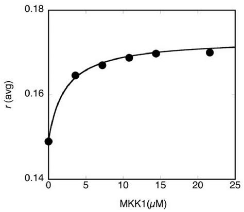 Fluorescence Anisotropy Binding Assay To Measure The Binding Of Mp1 To