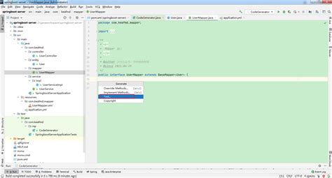 Springbootmybatisplusvue 前后端分离项目快速搭建【后端篇】【快速生成后端代码、封装结果集、增删改查、模糊查找】【毕