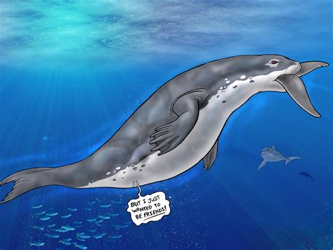 Tuki And The Seal — Weasyl