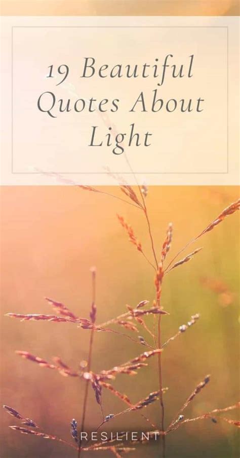 160 Quotes About Light To Illuminate Your Life Resilient