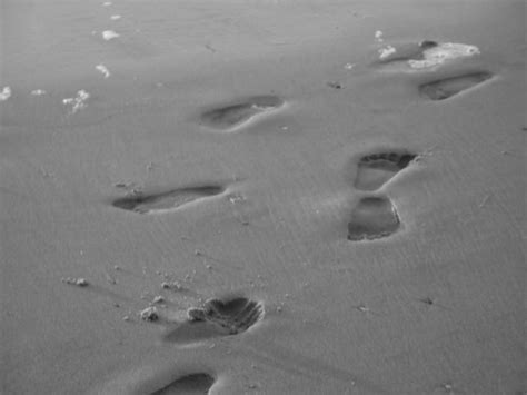 data remanence in the cloud elastic security