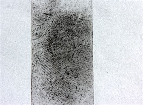 Fingerprint Kit DIY For Beginners KiwiCo