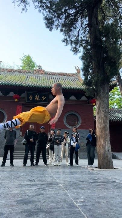 shaolin monks training kung fu#shaolinmonks #kungfu #martialarts #shaolinkungfu #buddhisttemple ...