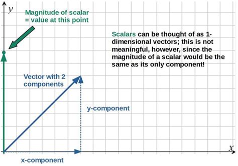 is time actually a vector or a scalar the physics explained profound