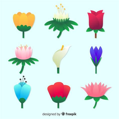 Разросся цветок Ландшафтный дизайн