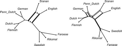 the networks produced by split decomposition left and neighbornet