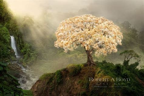 Tree Of Life Lds Art Tree Of Life Lds Artwork