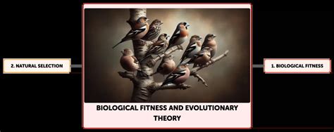 Biological Fitness And Evolutionary Theory Algor Cards