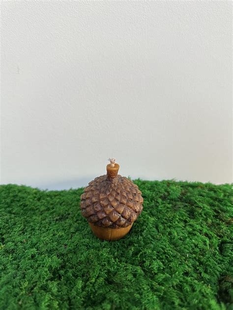 ᐉ Свічка воскова у формі жолудя 1 шт СС365 • Краща ціна в Києві Україні • Купити в Епіцентр