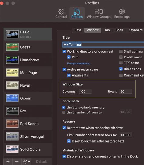 How To Change Default MacOS Terminal Window Size Code Care