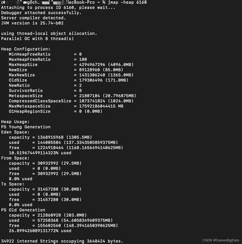 Jvm调优工具详解以及实战 Csdn博客