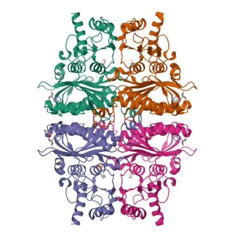 Structure Of Fructose 6 Phosphate