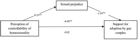Sexual Prejudice Mediates The Effect Of Aetiology Beliefs On Support Download Scientific