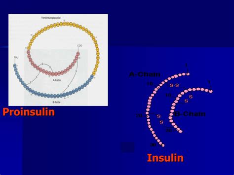 Ppt Hormone Synthesis Release And Transport Powerpoint Presentation Id 5733351