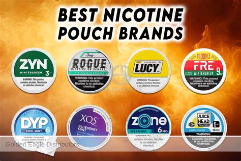 Exploring The Different Flavors Of Nicotine Pouches Selecting The