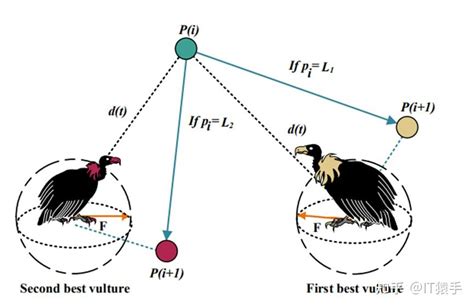 多目标优化算法：多目标非洲秃鹫优化算法（multiple Objective African Vultures Optimization