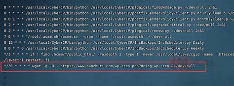 降低wordpress网站cpu占用优化性能之禁用wp cron设置图文教程 搬主题