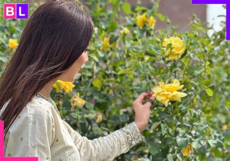 Pakistani Tiktoker Sajal Malik Private Video Leaked Rapidly Going To