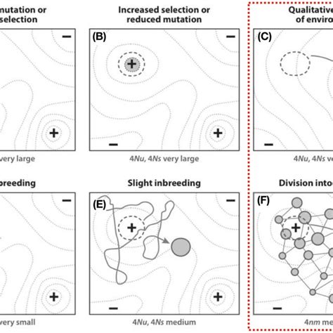 The Fitness Landscape As A Function Of Two Genes As A Function Of Download Scientific Diagram