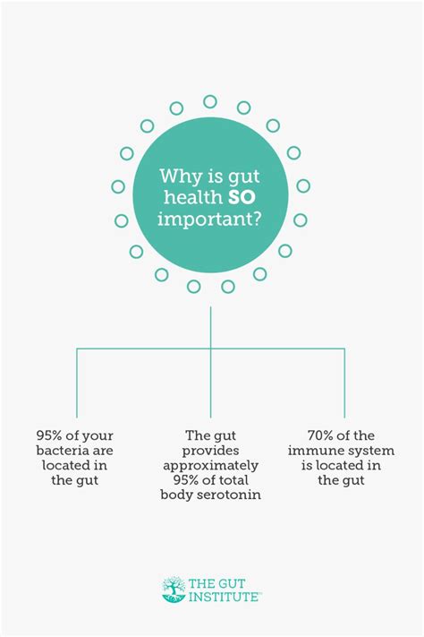 🤔 Wondering Why Gut Health Is So Important Lets Break It Down First
