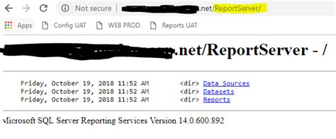 Reporting Services Ssrs 2017 Web Portal Forms Authentication Access