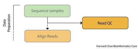 Evaluating Read Qualities With Fastqc Variant Analysis