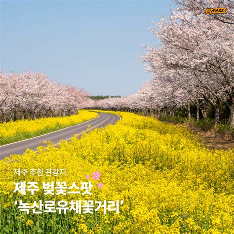 제주여행 E모빌리티 이브이패스 Evpassofficial • Instagram Photos And Videos