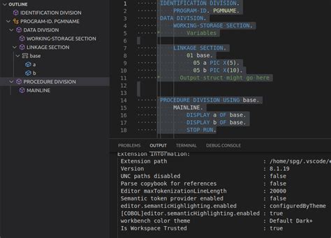 outline view · issue 312 · spgennard vscode cobol · github